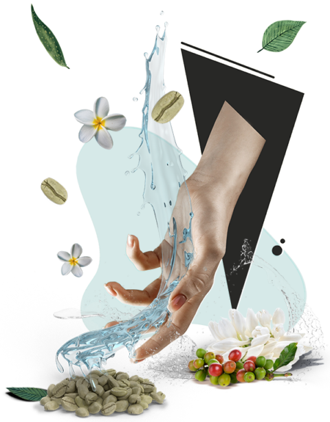 About RGC - RGC Coffee