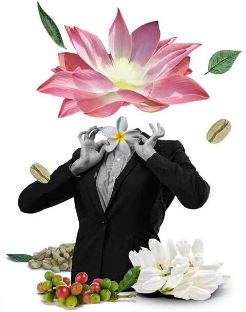 Las Manos Del Cafe - RGC3E Social Project - RGC Coffee