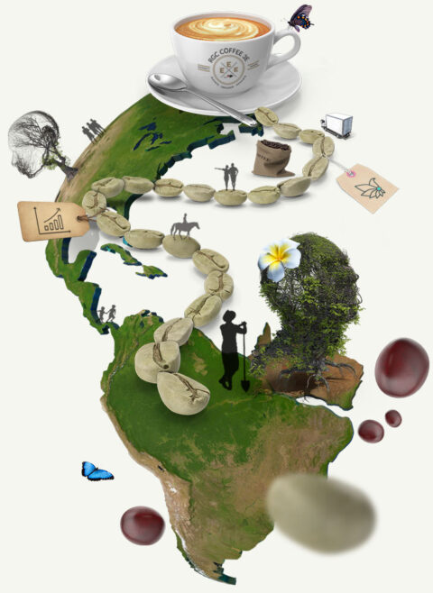 RGC 3E Sustainability Validation Scheme - RGC Coffee